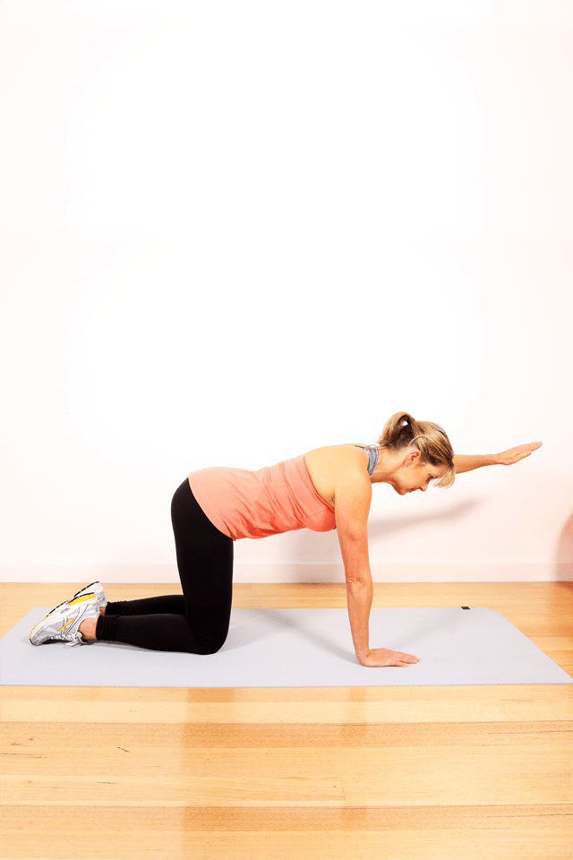 Pelvic Floor Safe Exercises · Pelvic Floor First